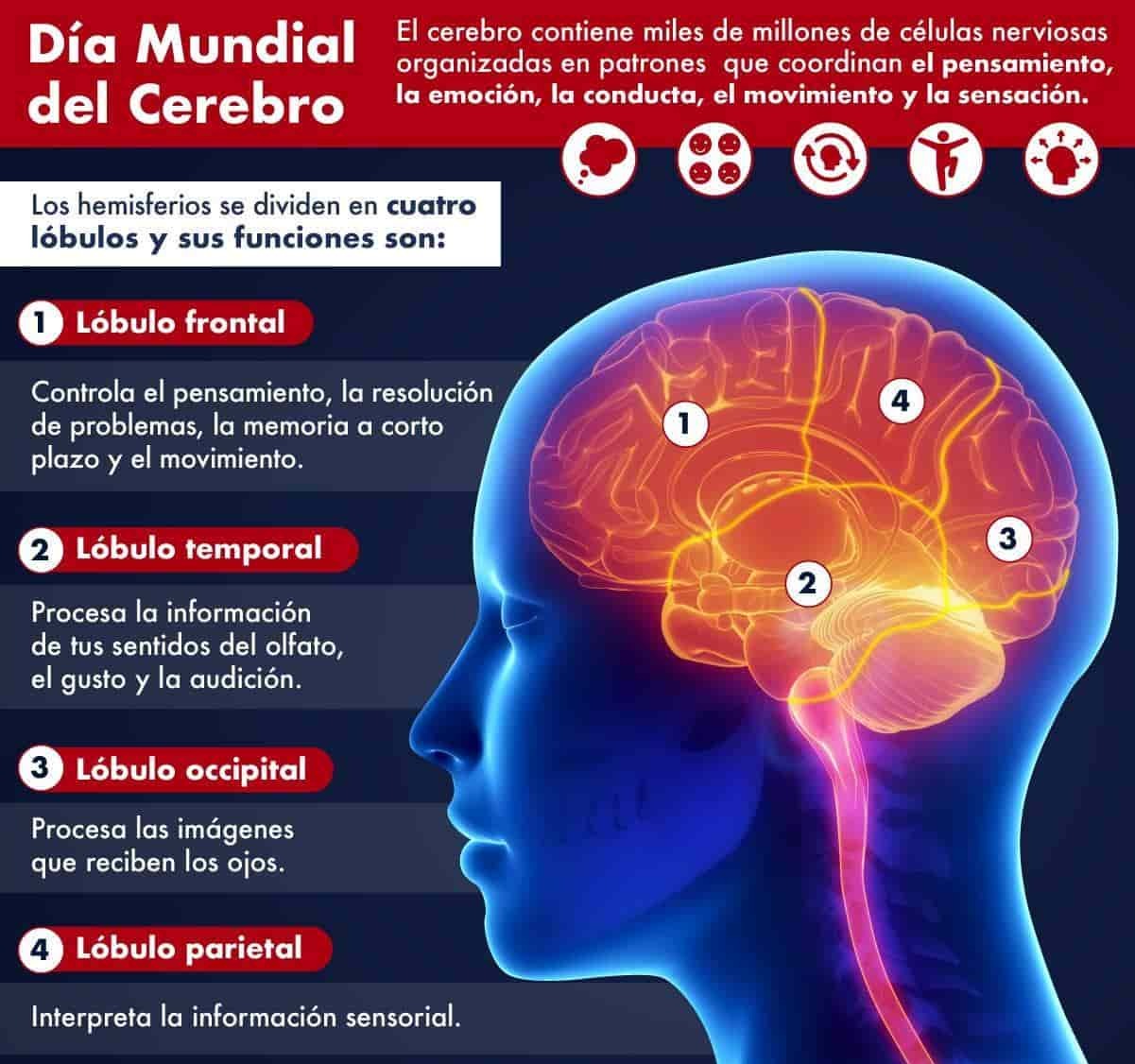 22 DE JULIO: DÍA MUNDIAL DEL CEREBRO | FM GOLD ORAN 107.1 MHZ
